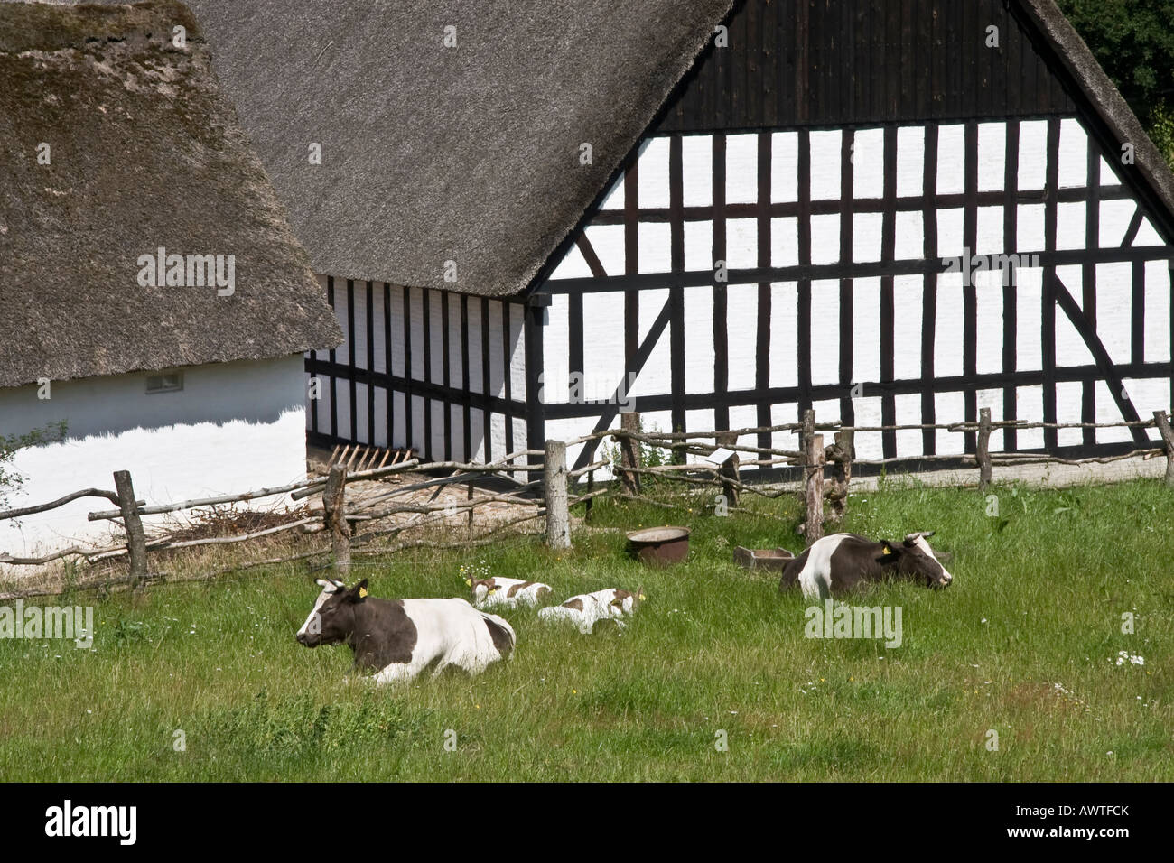 Danish traditional house, countryside Stock Photo - Alamy