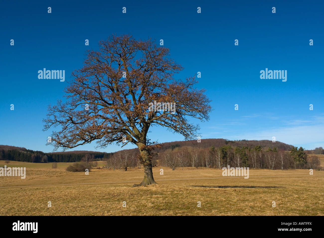 Wide landscape prospect hi-res stock photography and images - Alamy