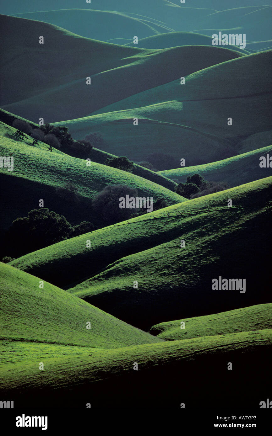 Spring on Mount Diablo California United States Stock Photo - Alamy