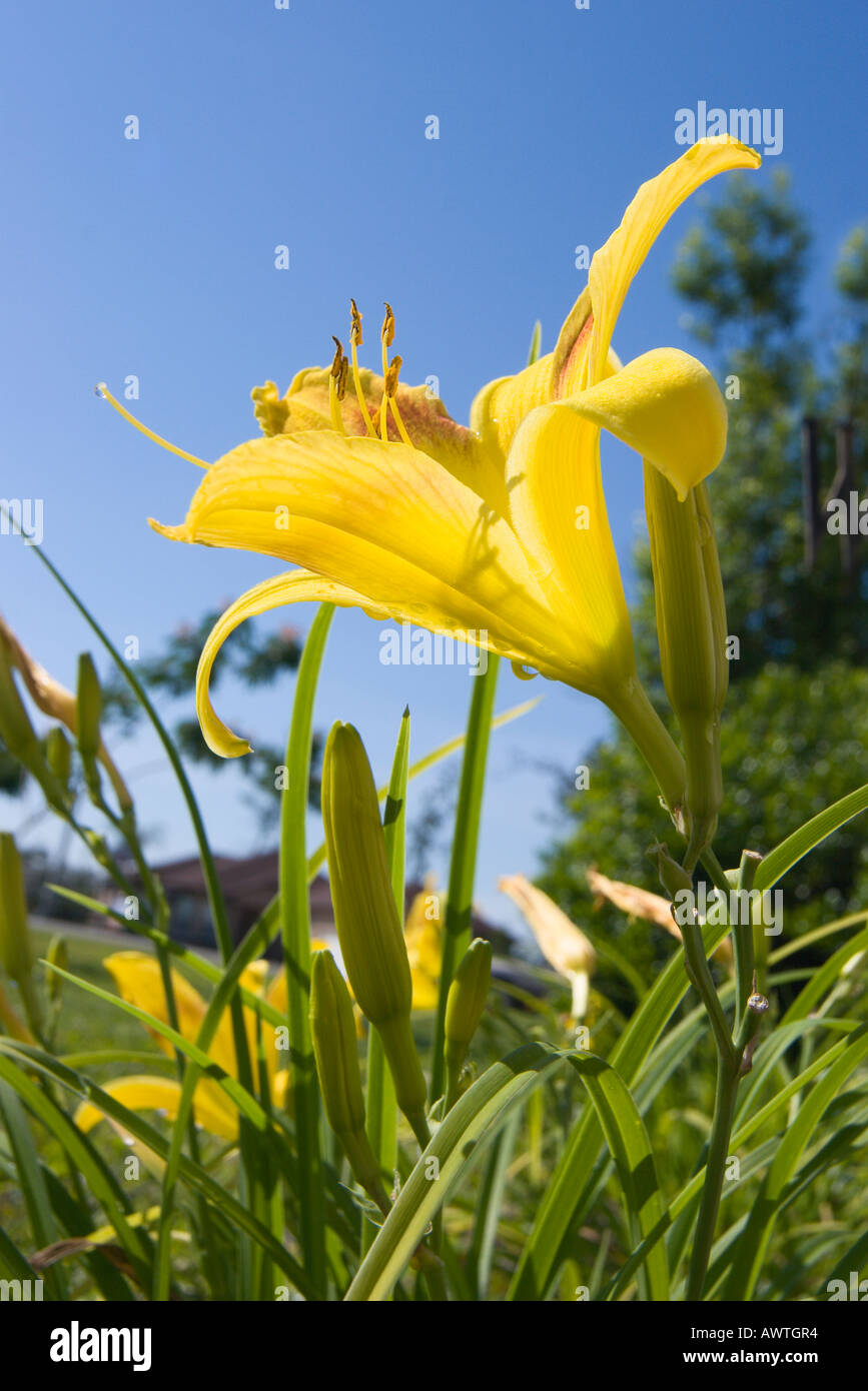 Ground level point of view hi-res stock photography and images - Alamy