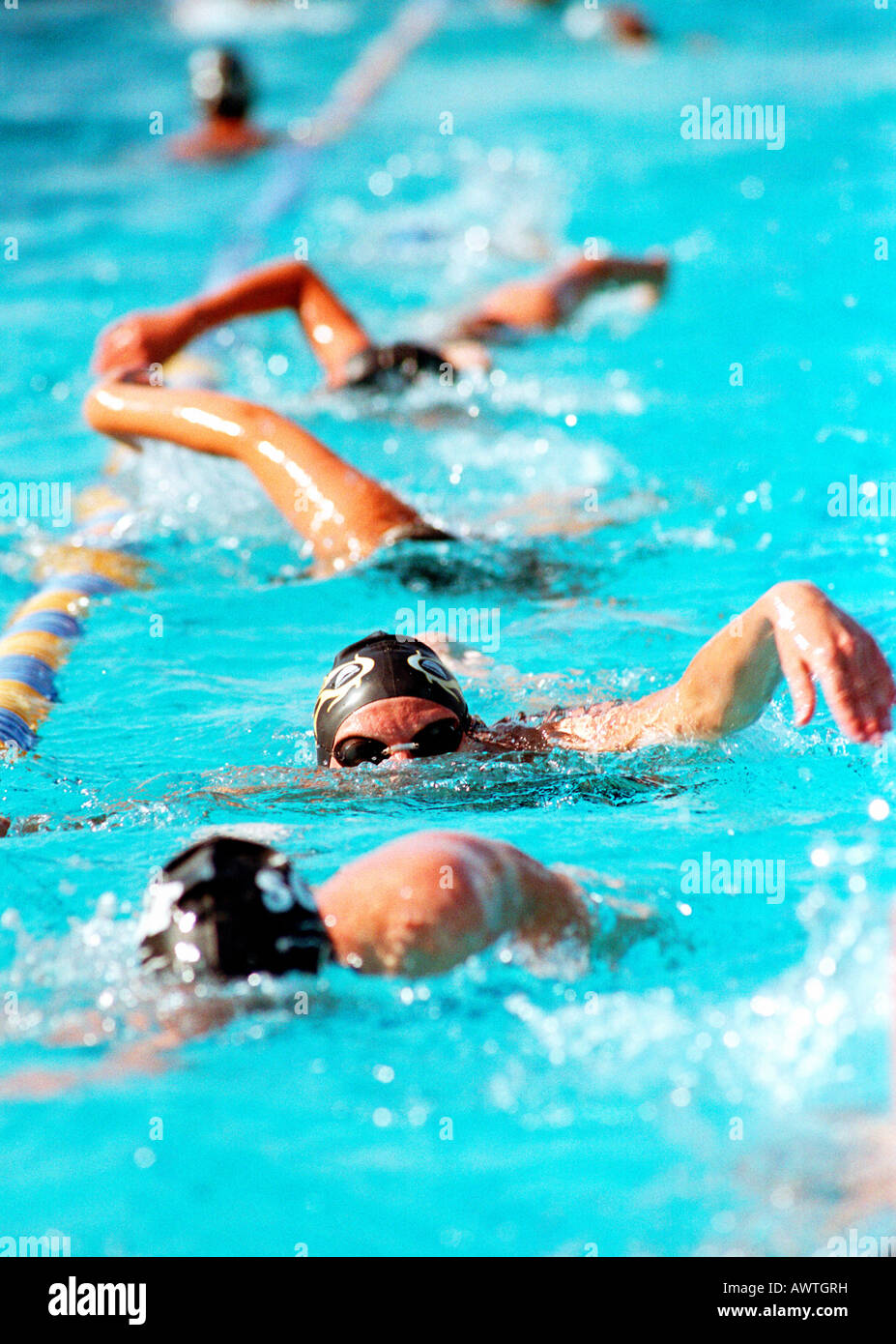 Professional swimmers during training in an open air bath, Poznan ...