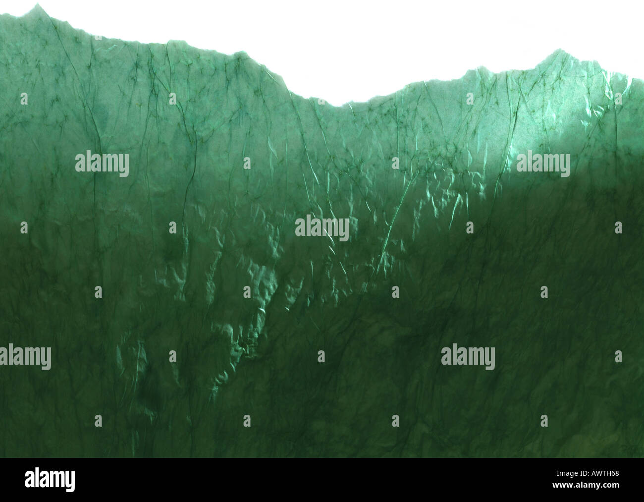 Veined textures hi-res stock photography and images - Alamy