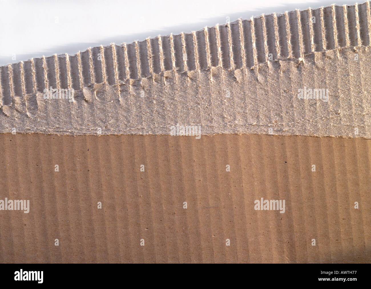 Corrugated Cardboard Stock Photos & Corrugated Cardboard Stock Images ...