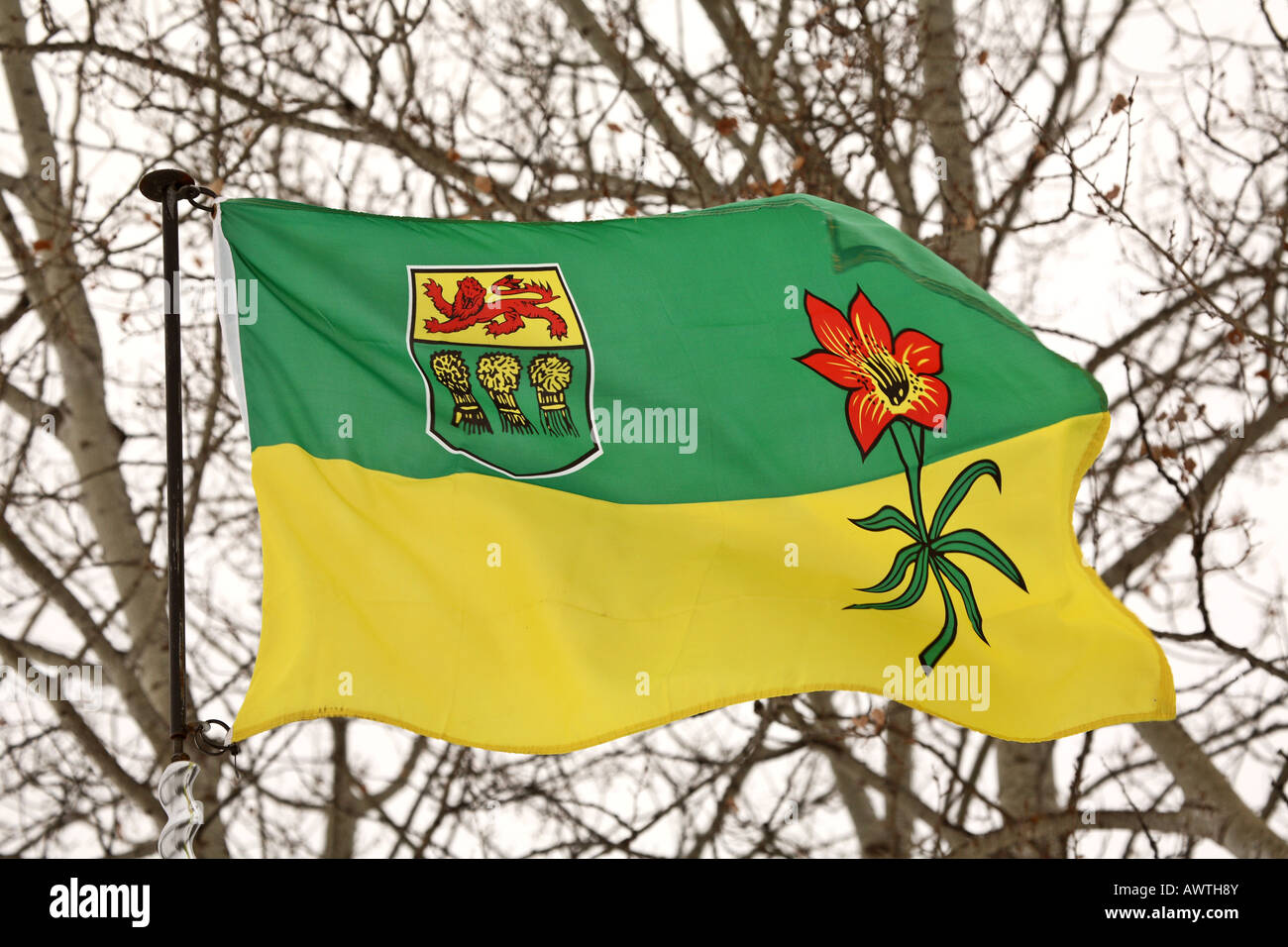 Vector Flag Of Saskatchewan High Resolution Stock Photography and ...