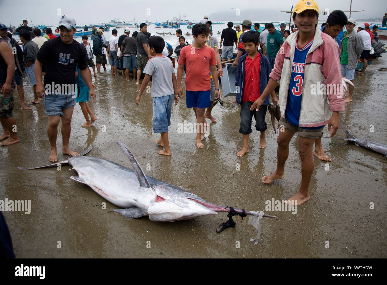 Fisherman with swordfish Puerto Lopez fishing Harbour Ecuador South ...