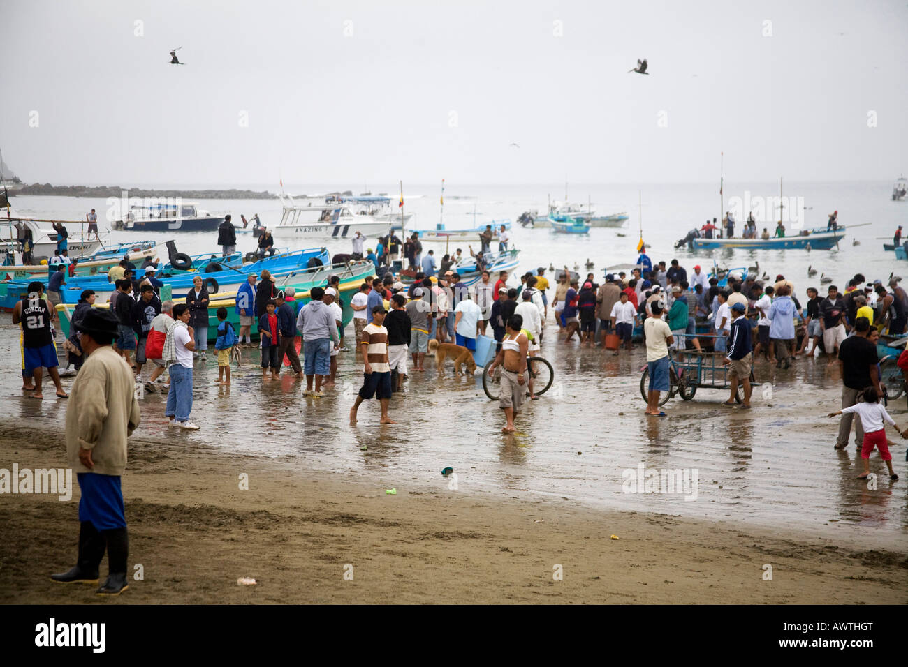 Fishing Harbour Fishing People in Puerto Lopez, Ecuador,Fishing boats ...