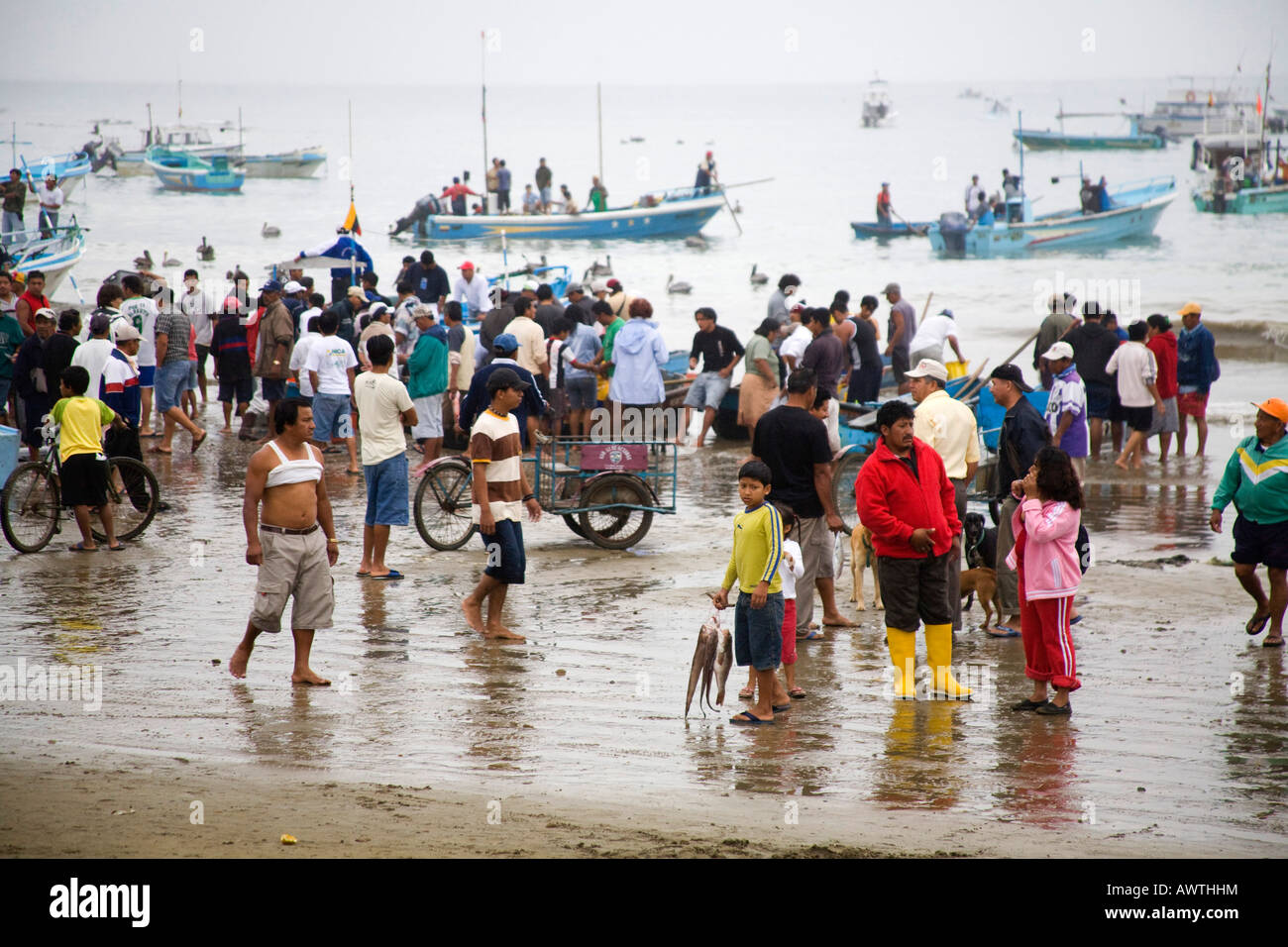 Fishing Harbour Fishing People in Puerto Lopez, Ecuador,Fishing boats ...