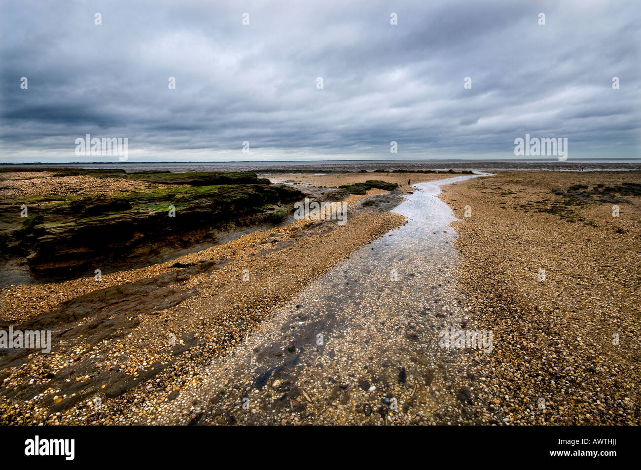 Blackwater estuary Essex - a freshwater stream runs through the cockle ...