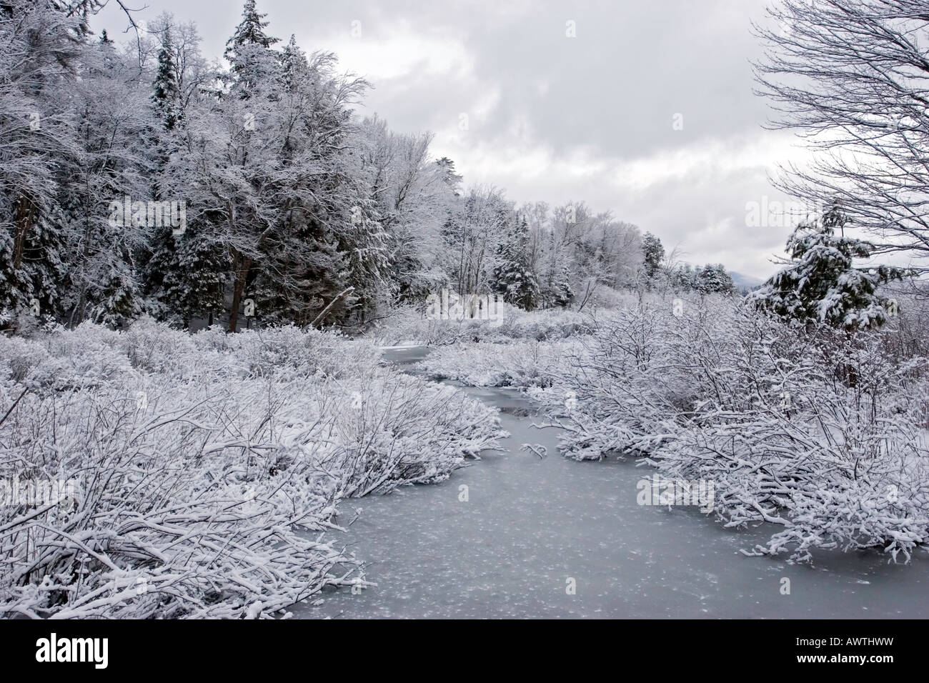Adirondack mountains stream at hi-res stock photography and images - Alamy