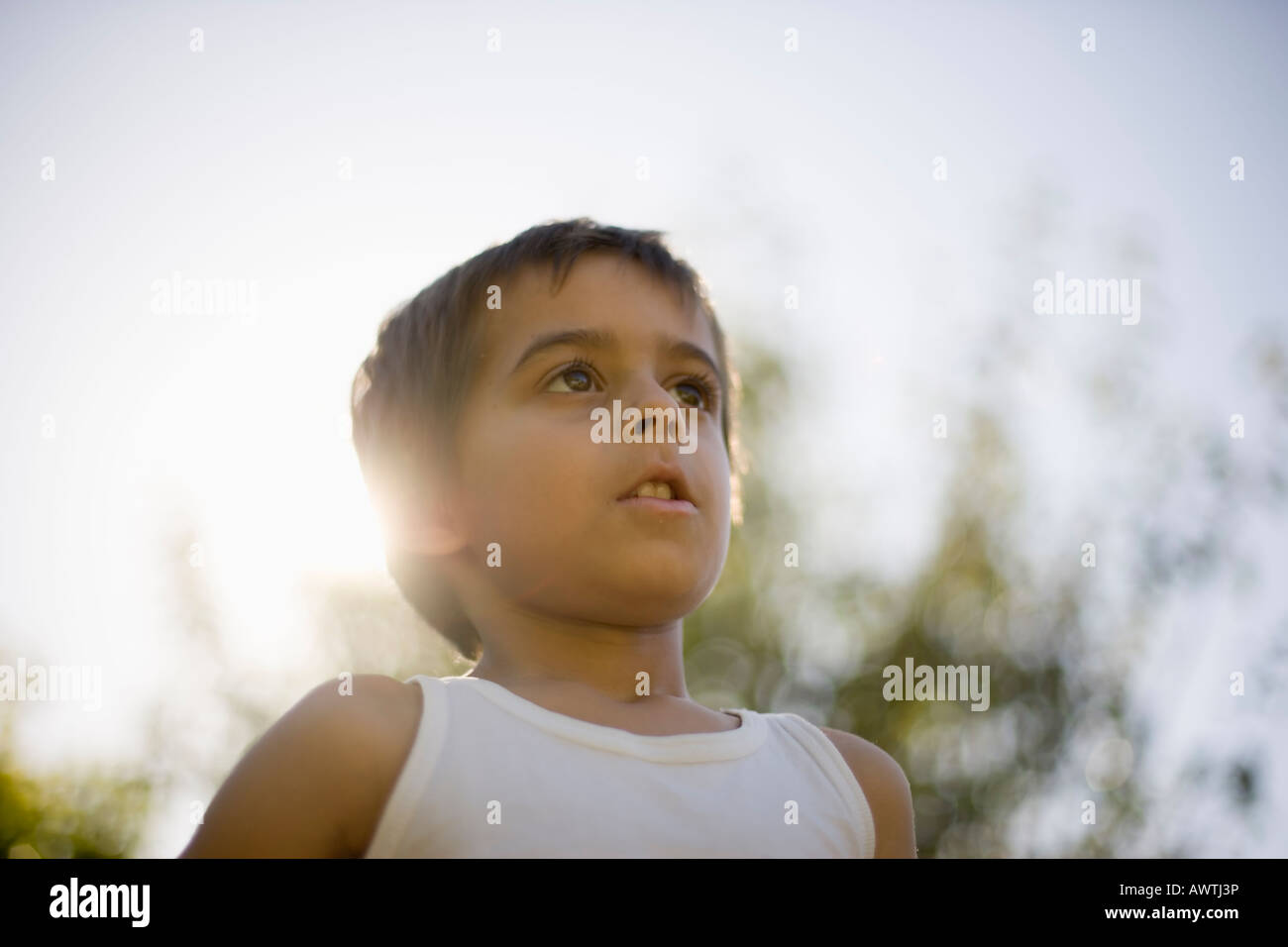 Boy in evening sun Stock Photo - Alamy