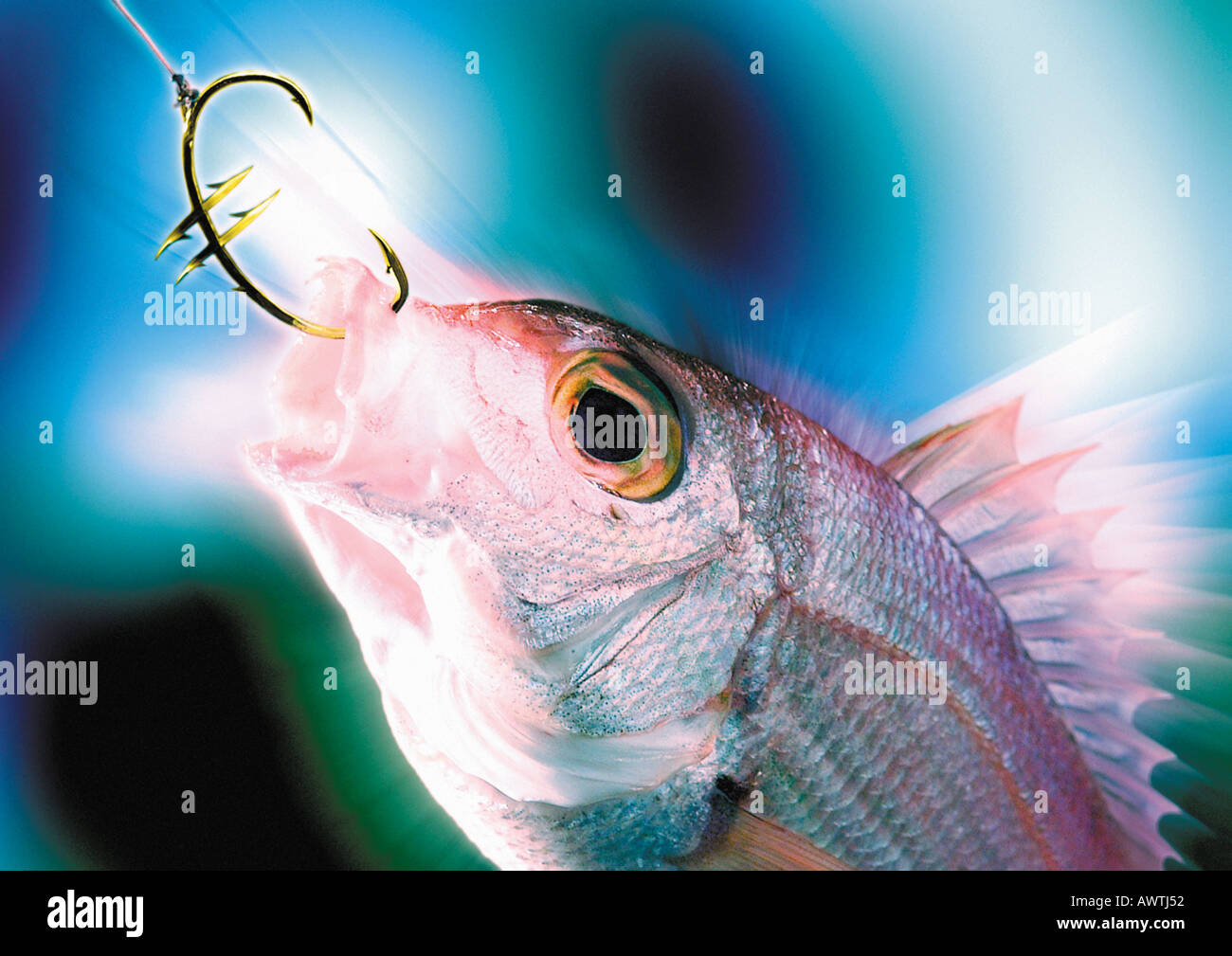 Fish hook symbol hi-res stock photography and images - Alamy