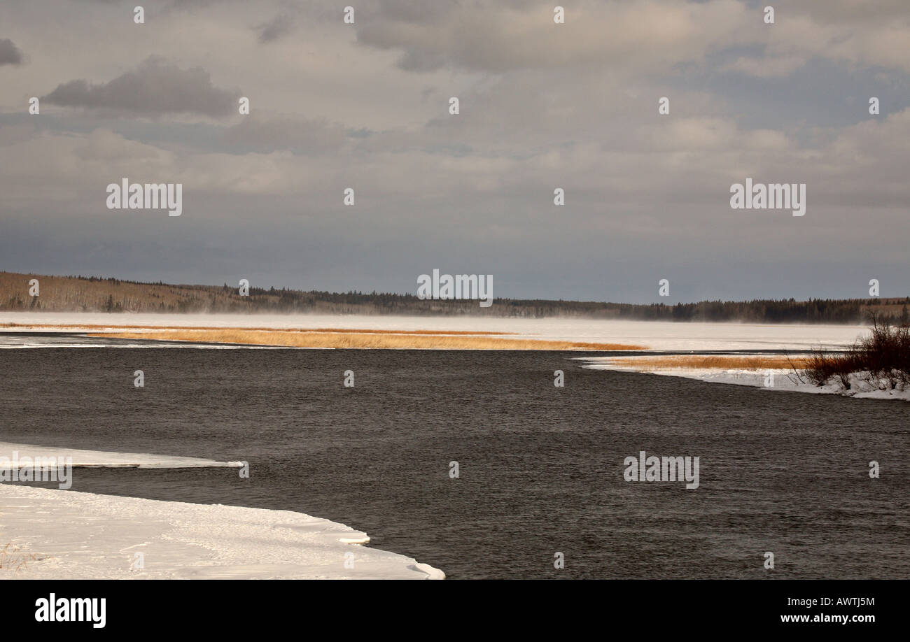 Waterhen River in winter Stock Photo - Alamy