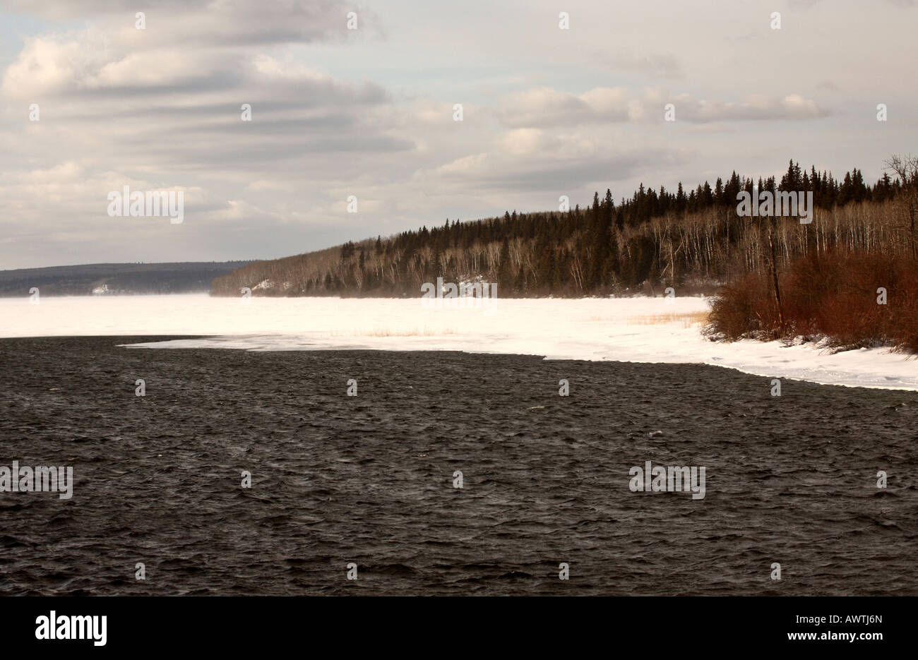 Waterhen River in winter Stock Photo - Alamy