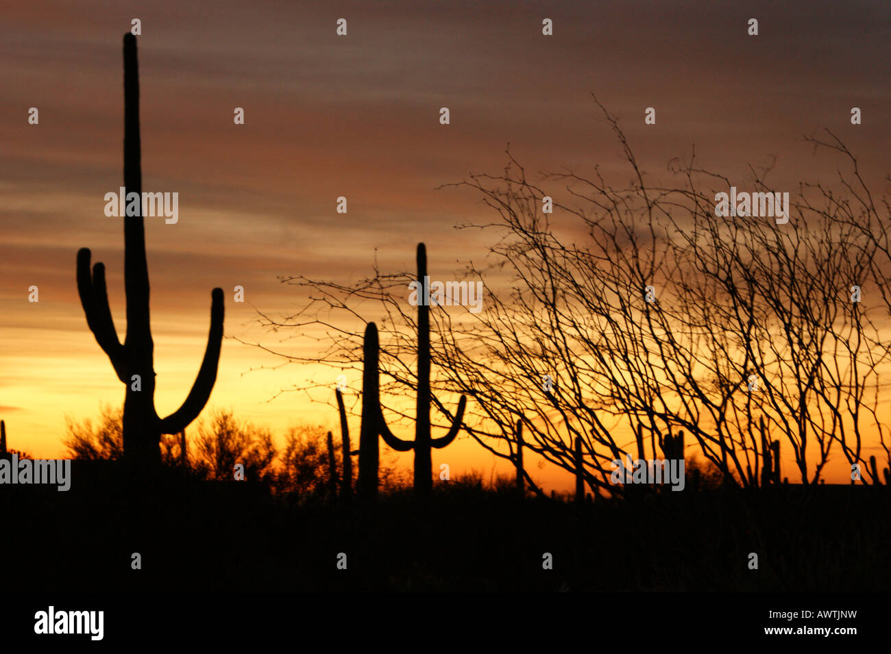Skyline tucson hi-res stock photography and images - Alamy