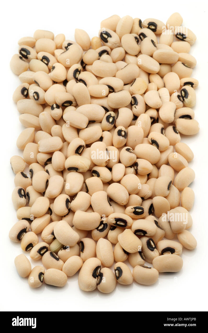 Modific hi-res stock photography and images - Alamy