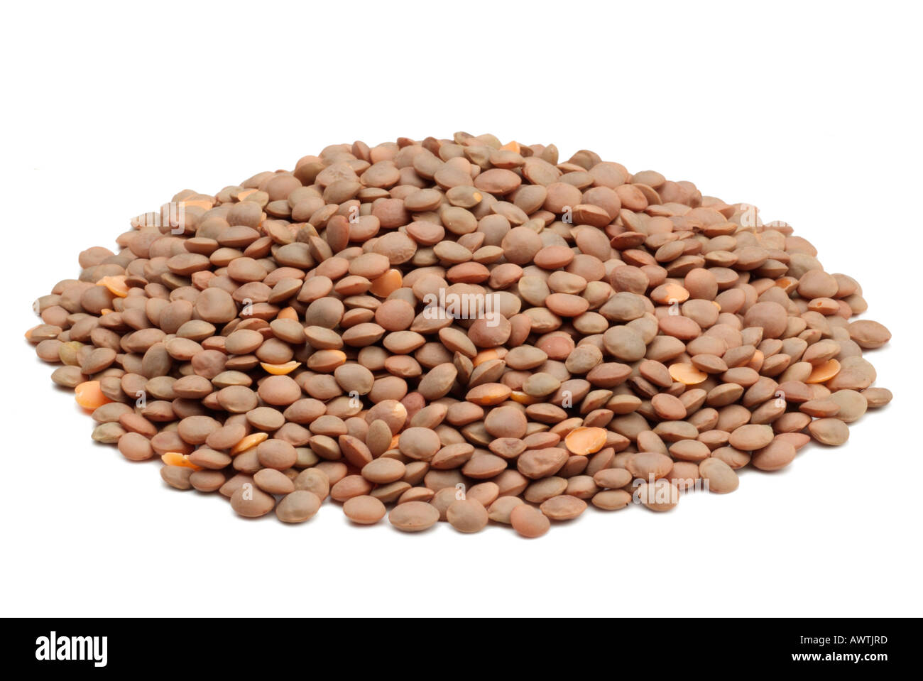 Split Lentil bean circular round rounded grain grains seed yellow red ...