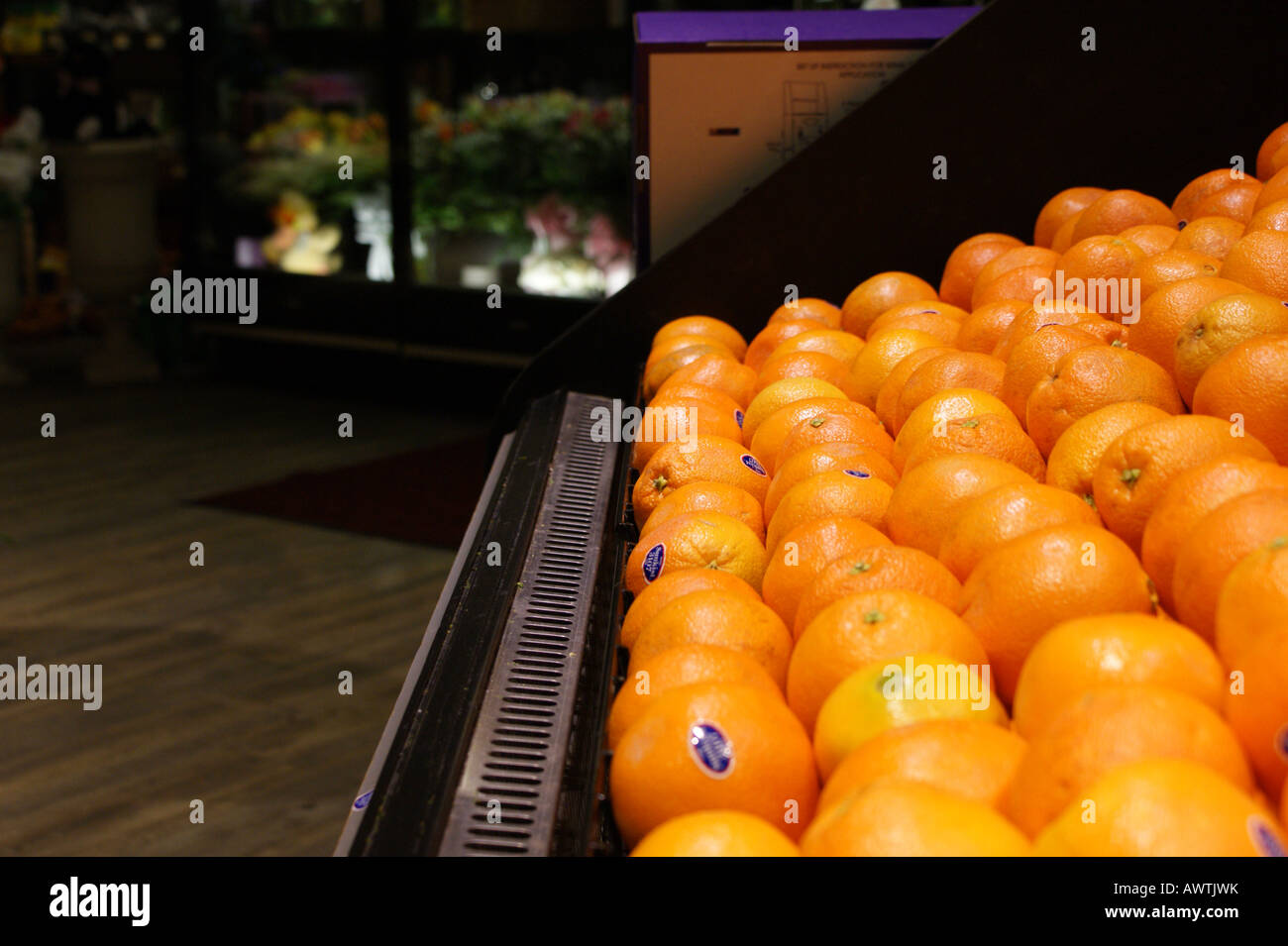 Oranges in a line at a grocery store waiting to be sold Stock Photo - Alamy