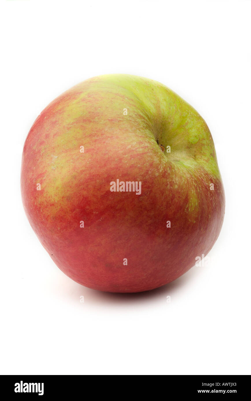 Desert apple ripe piece portions portion part fruit cox orange English ...