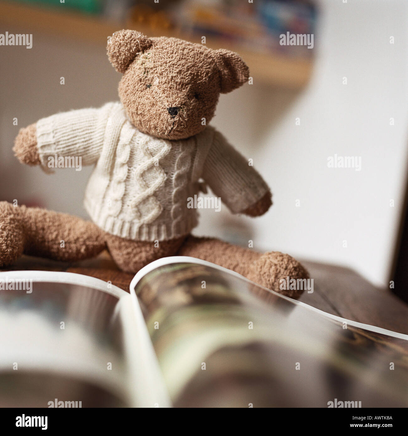 Stuffed teddy bear looking at book Stock Photo - Alamy