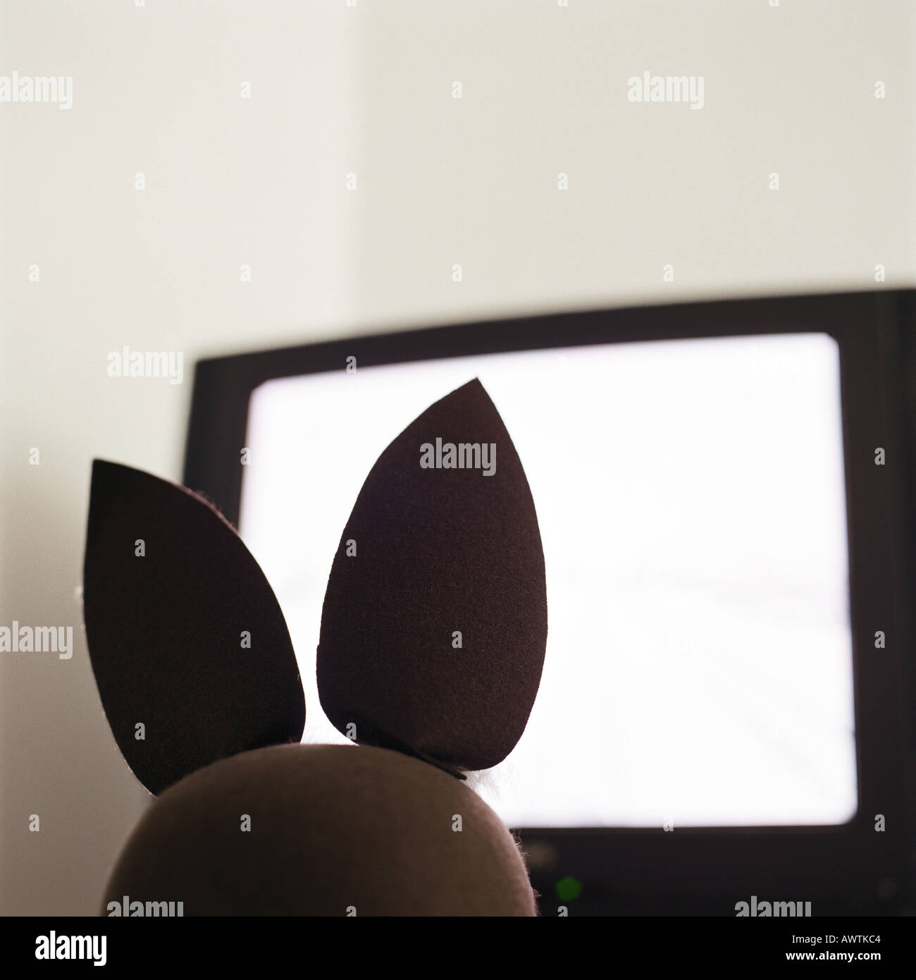 Child's bunny rabbit facing television, rear view Stock Photo - Alamy
