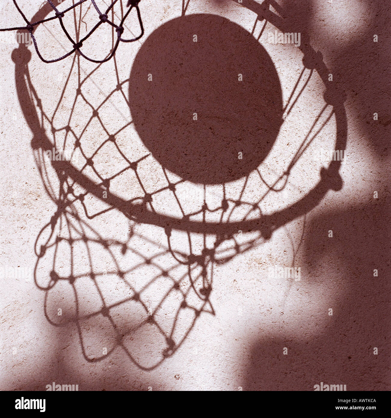 Close up of basketballs hi-res stock photography and images - Alamy