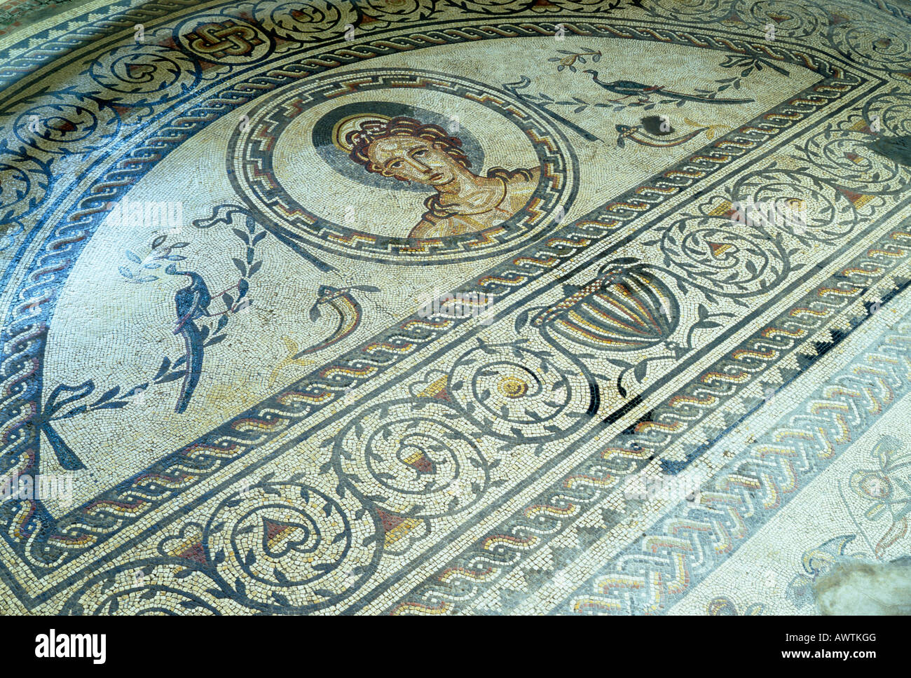 Ancient Roman Mosaic Floor High Resolution Stock Photography and Images ...
