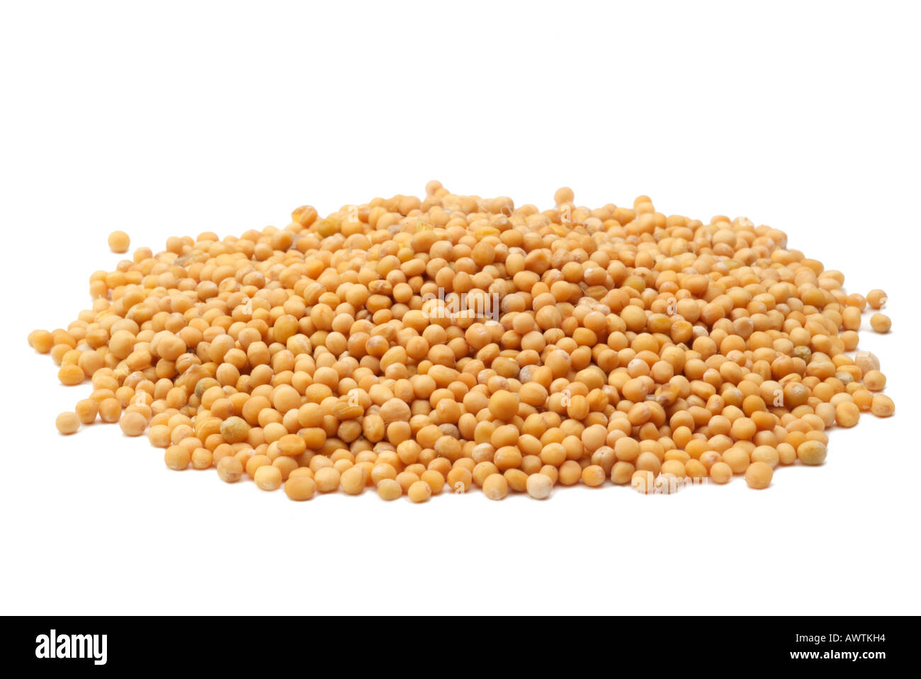 Mustard seed whole dried piece portions portion part close up culinary ...