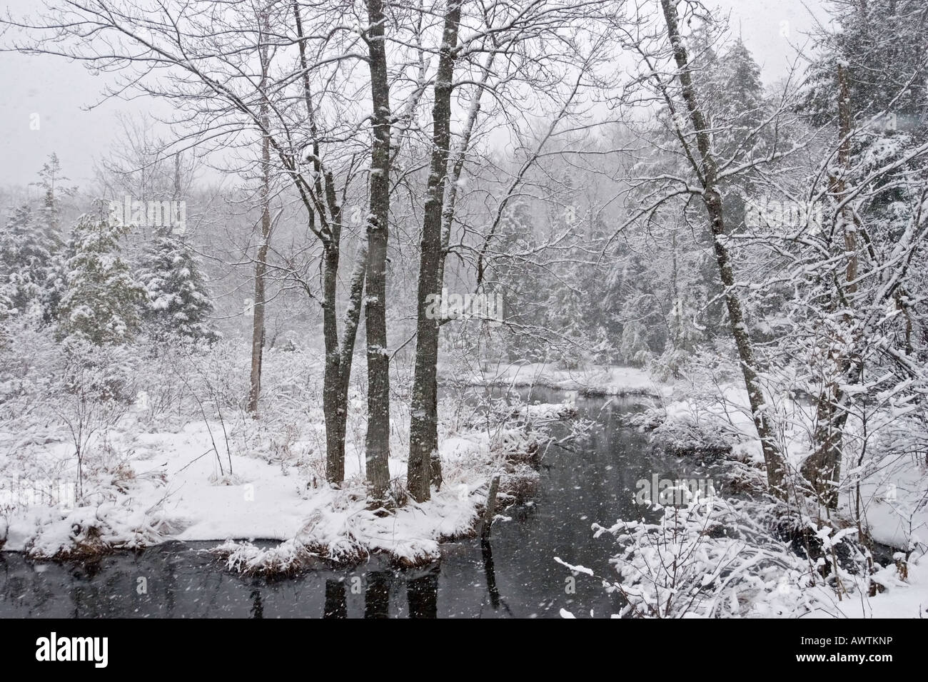 Adirondack mountains stream at hi-res stock photography and images - Alamy
