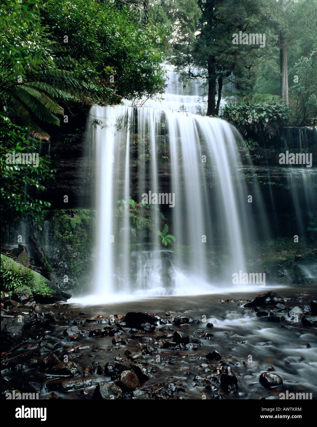Russel falls in Tasmania Stock Photo - Alamy