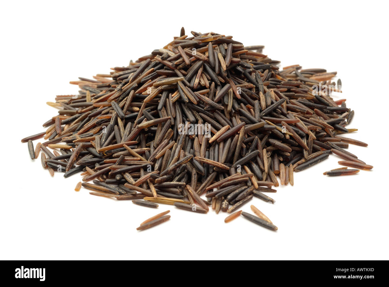 Wild rice Studio white background back ground cut out cutout close up ...