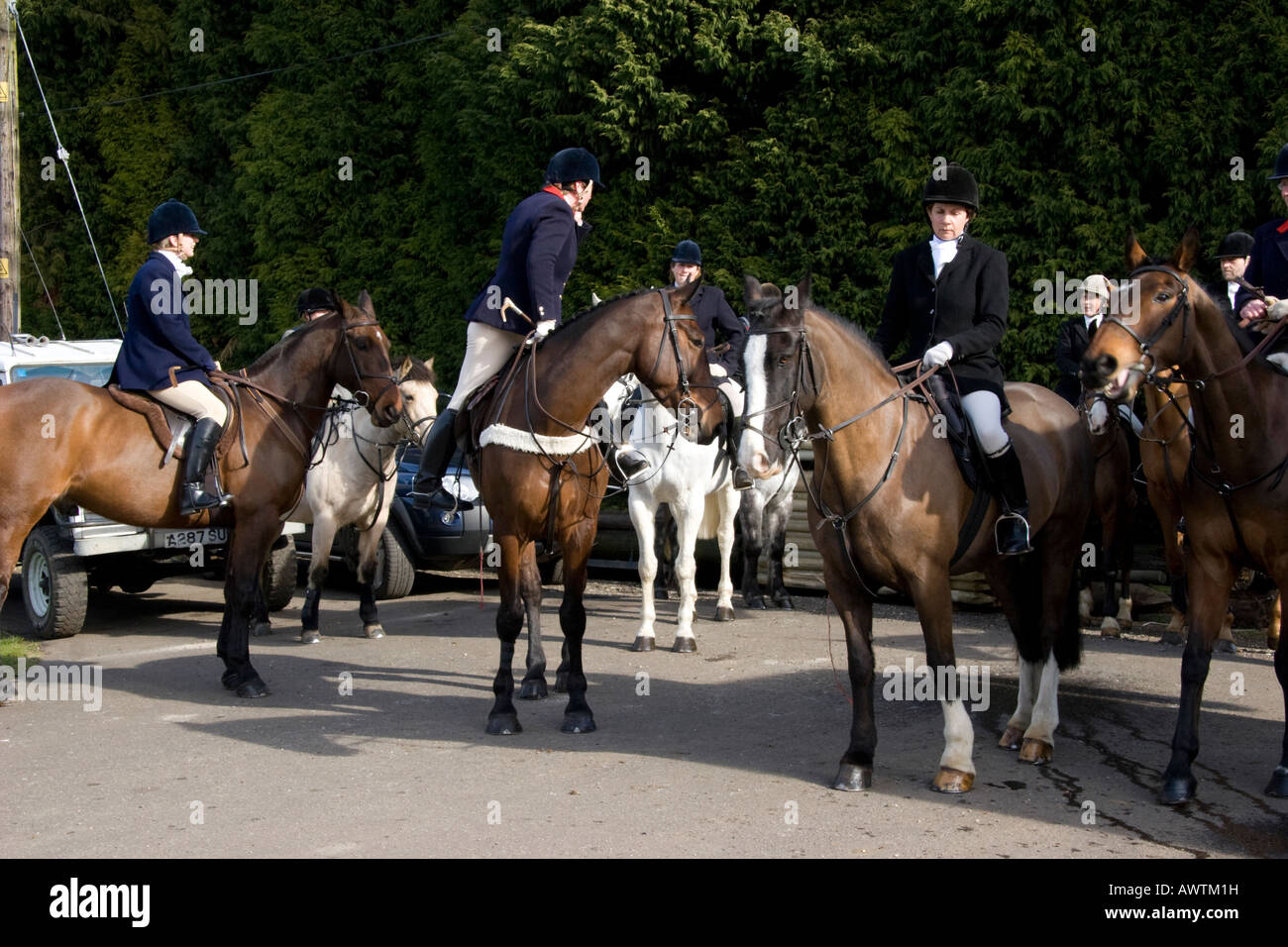 Huntsman for the essex and suffolk hunt hi-res stock photography and ...