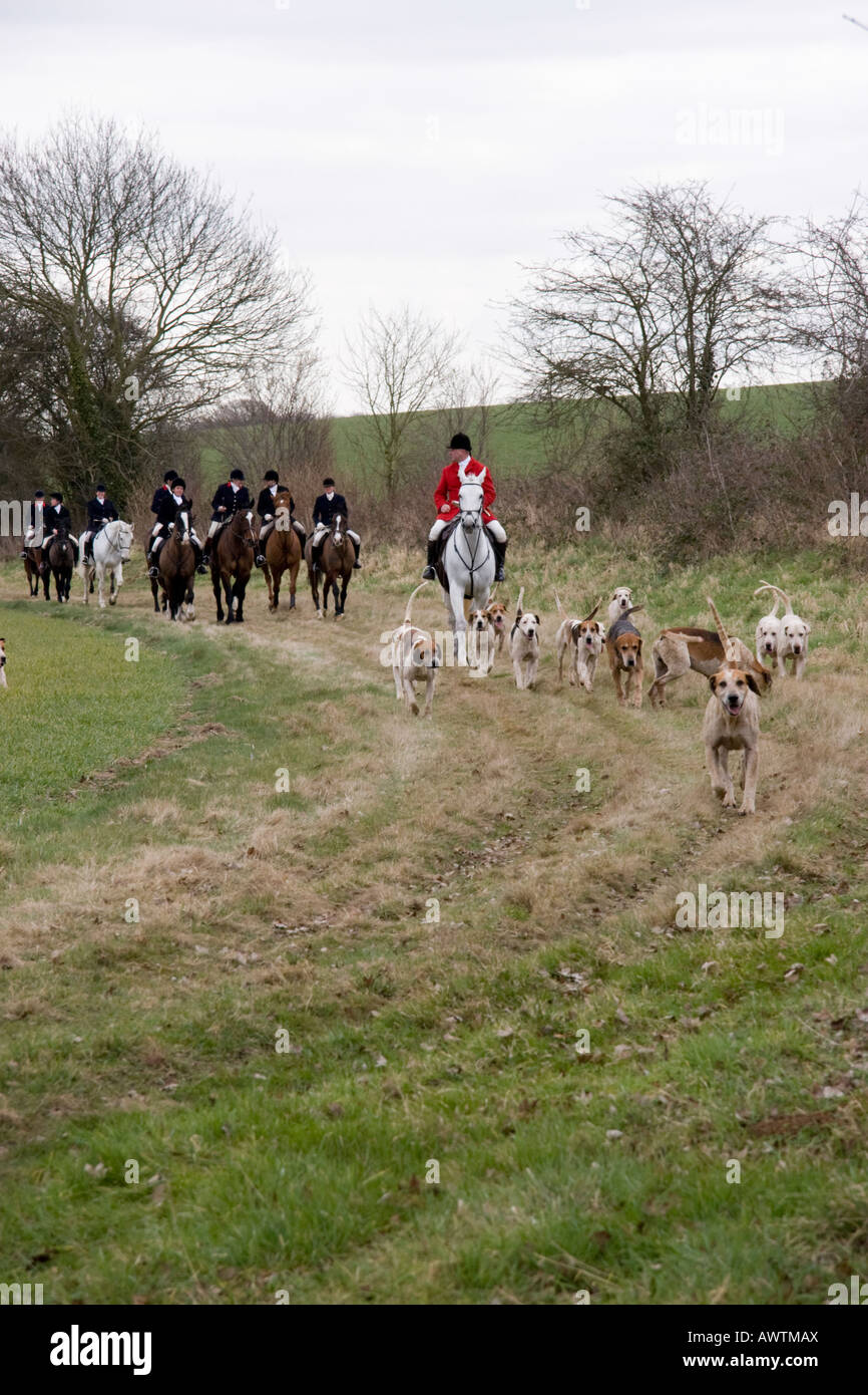 Huntsman for the essex and suffolk hunt hi-res stock photography and ...