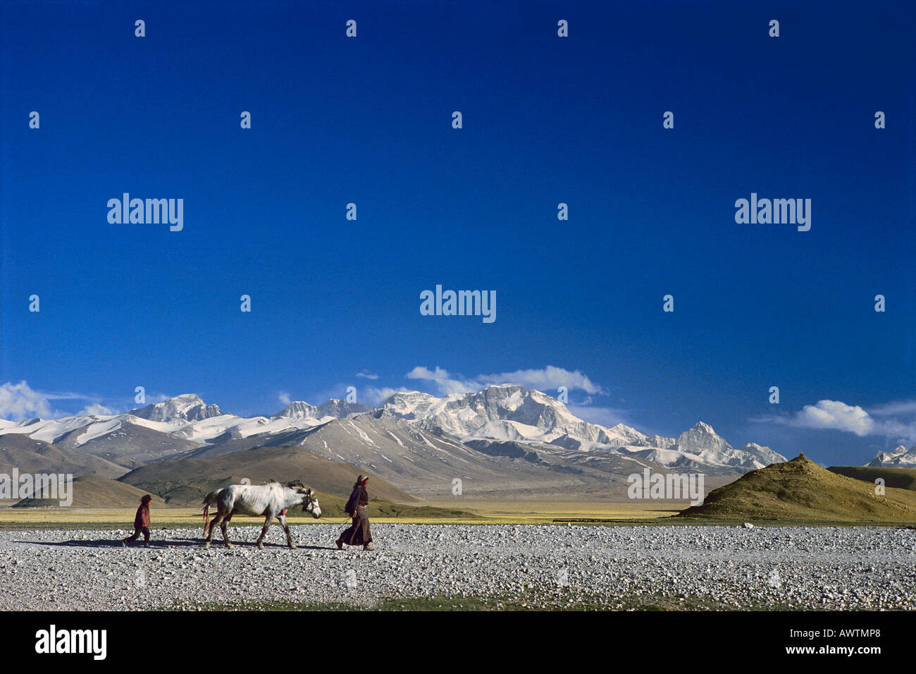 Evening on the Tingri Plain below Cho Oyu 26 750 feet TibetTibet Stock ...