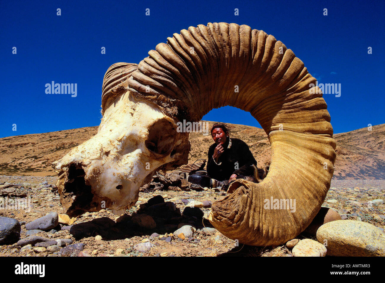 Maryum hi-res stock photography and images - Alamy