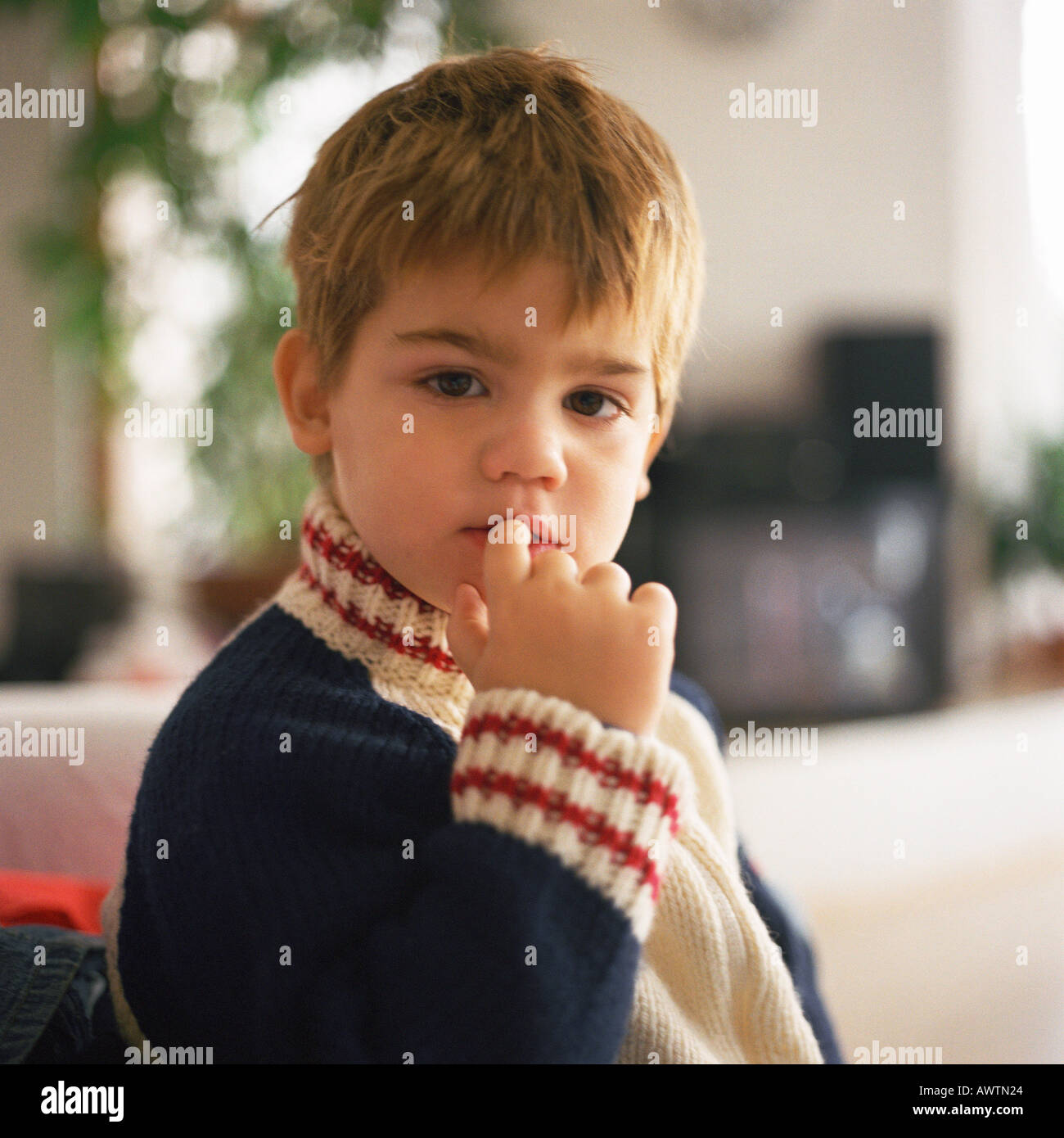 Young boy, finger in mouth, portrait Stock Photo - Alamy