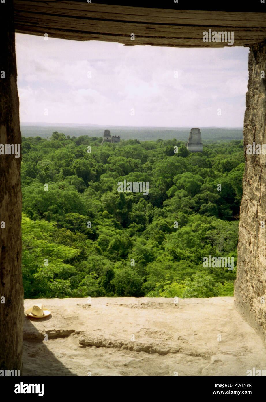 Panoramic view imposing Maya stone pyramid Tikal Guatemala Central ...