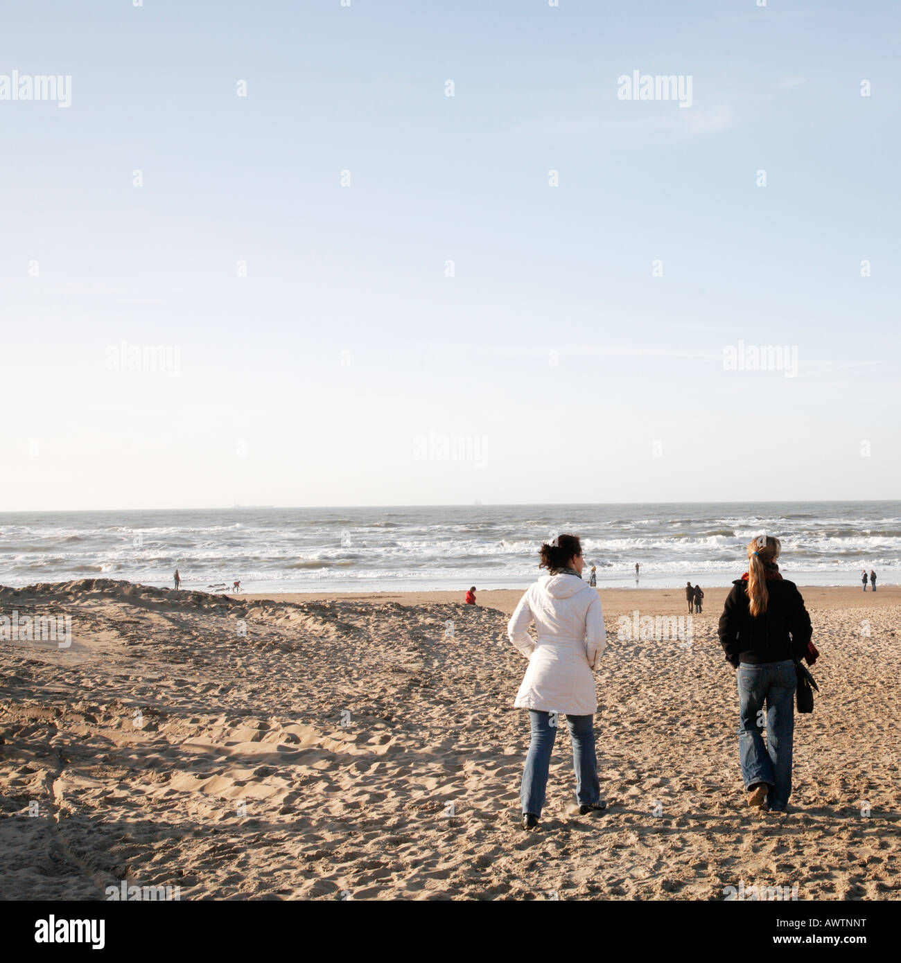 People walking along the beach, Northsea, the Netherlands, Europe Stock ...