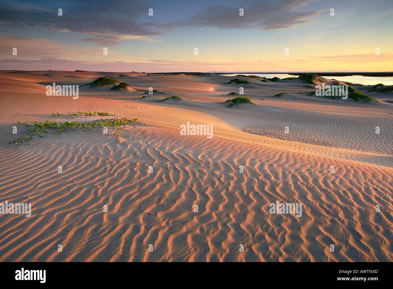 Mexicomexico hi-res stock photography and images - Alamy