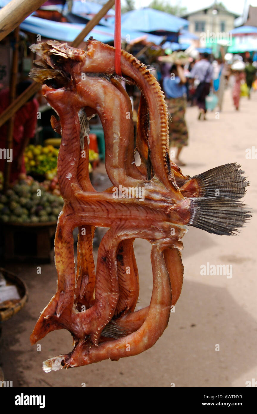 Typical dries fish Bago Market Stock Photo - Alamy