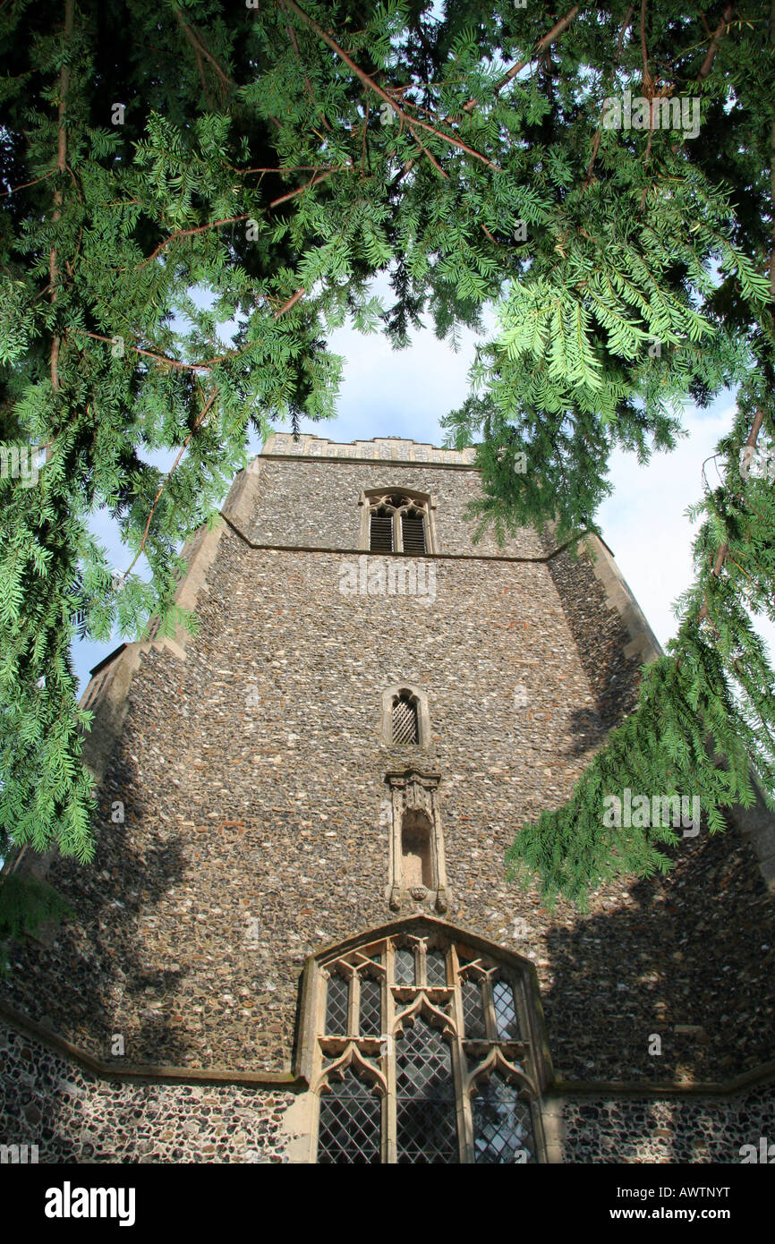 Country church tower framed by branches of an evergreen tree Stock ...