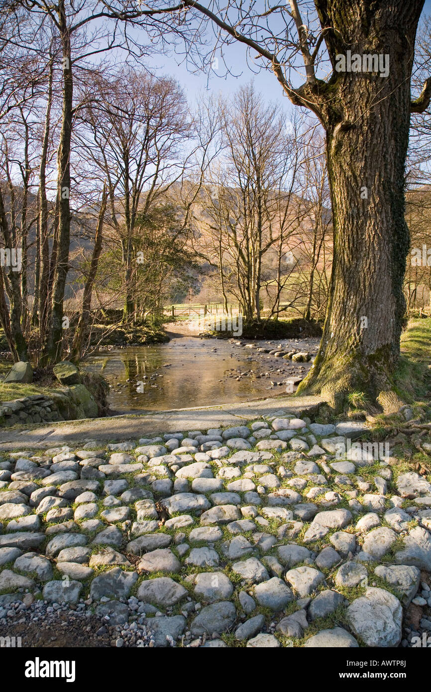 Cobblestone Path Riverside Trees Ford Stepstones River Derwent Stock ...