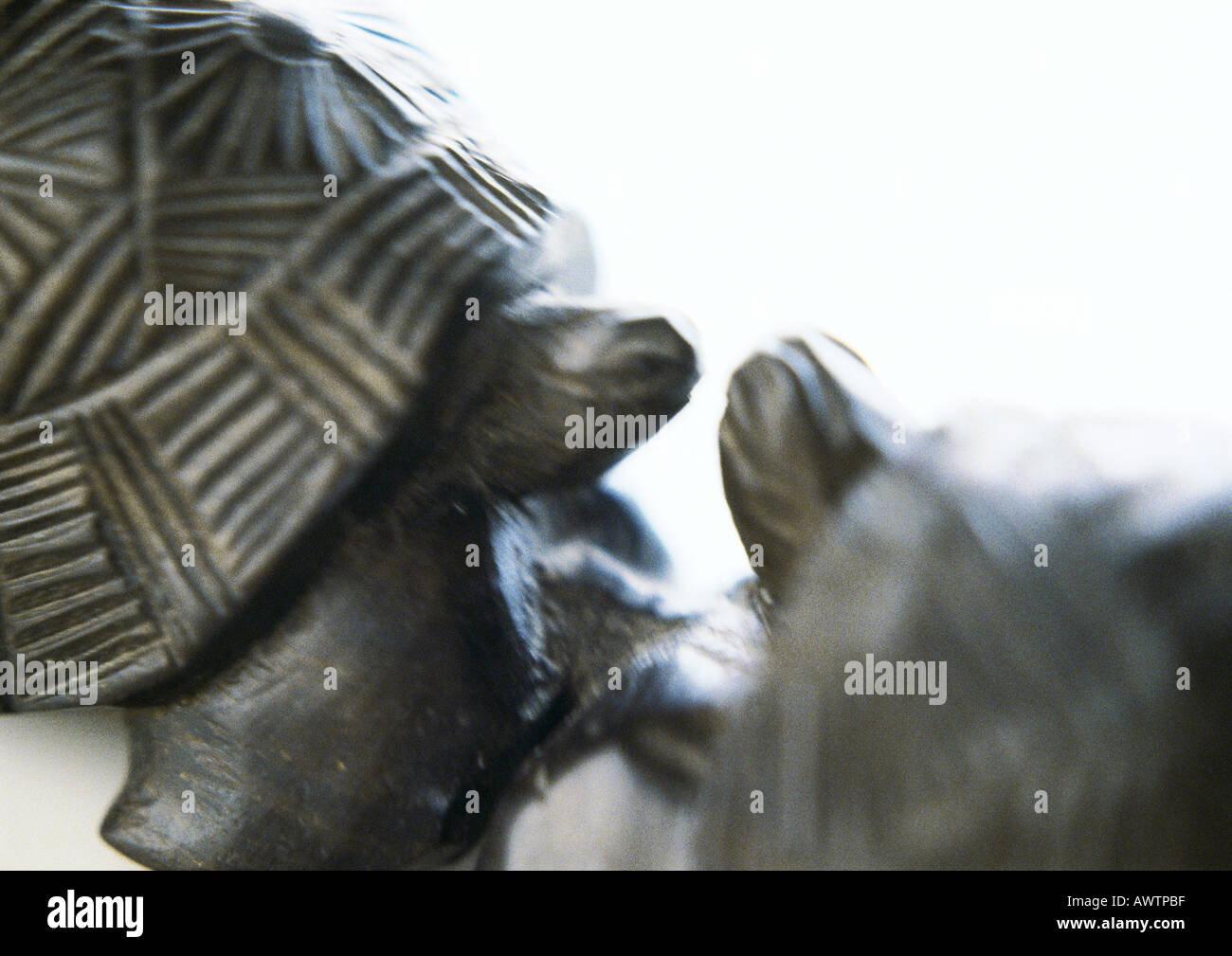 Turtle Art Image High Resolution Stock Photography and Images - Alamy