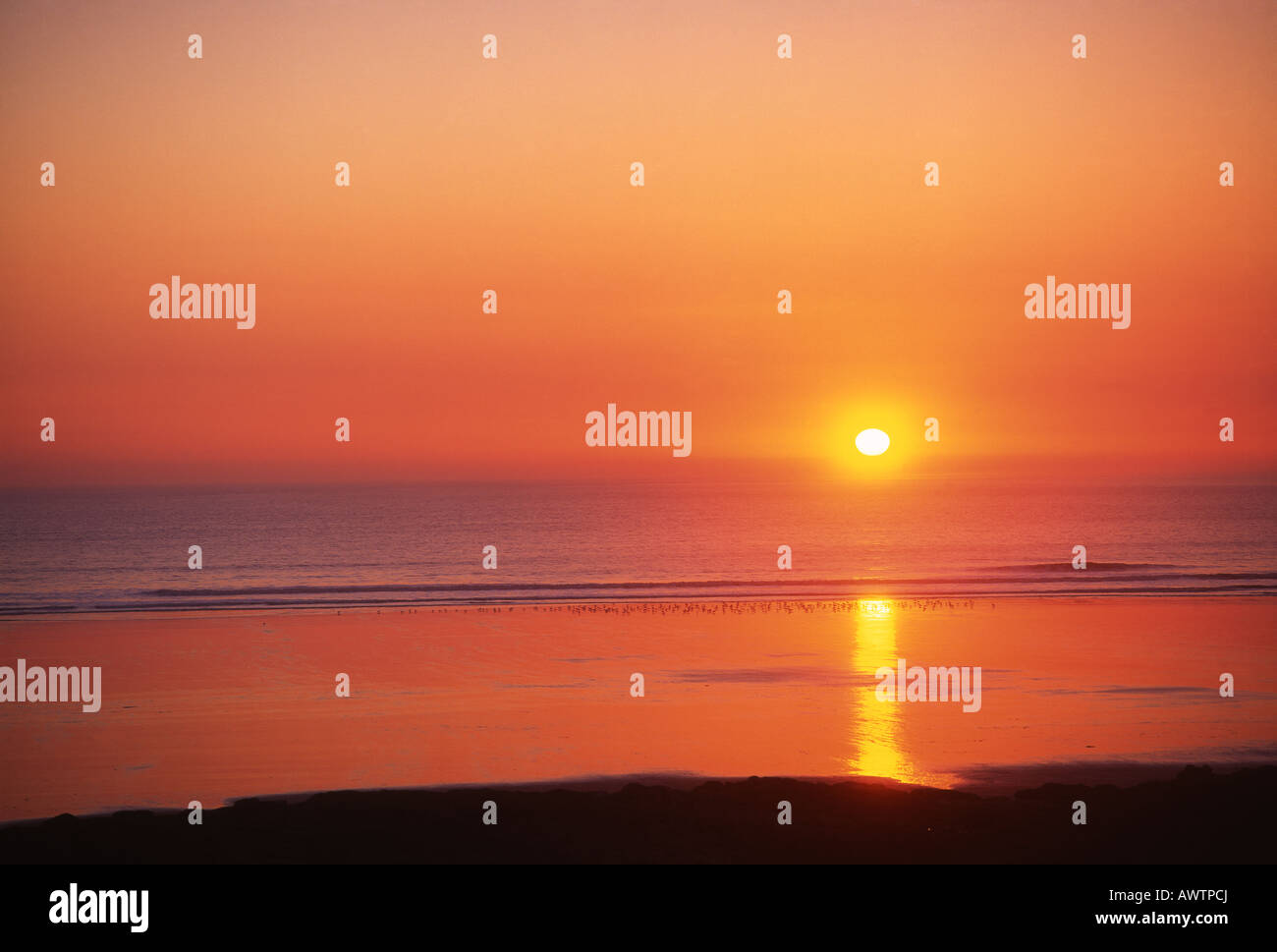 Rest Bay, Wales High Resolution Stock Photography and Images - Alamy