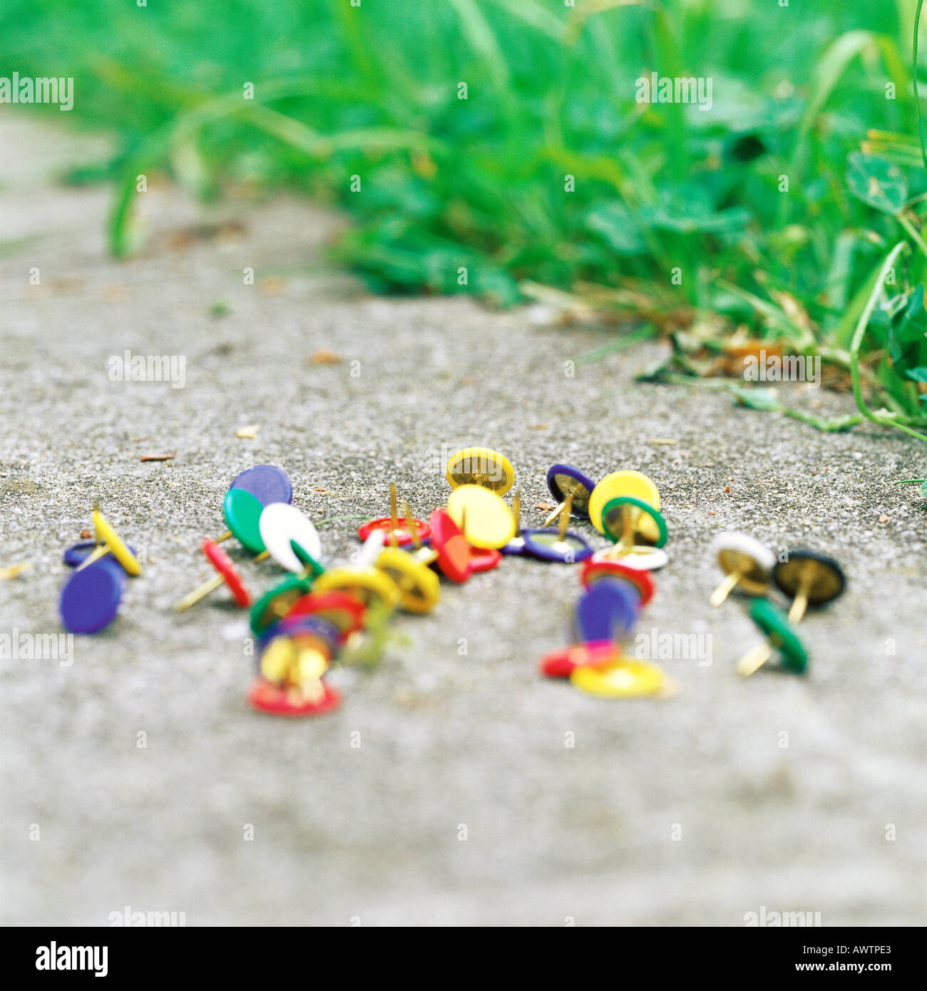 Remarkable differences hi-res stock photography and images - Alamy