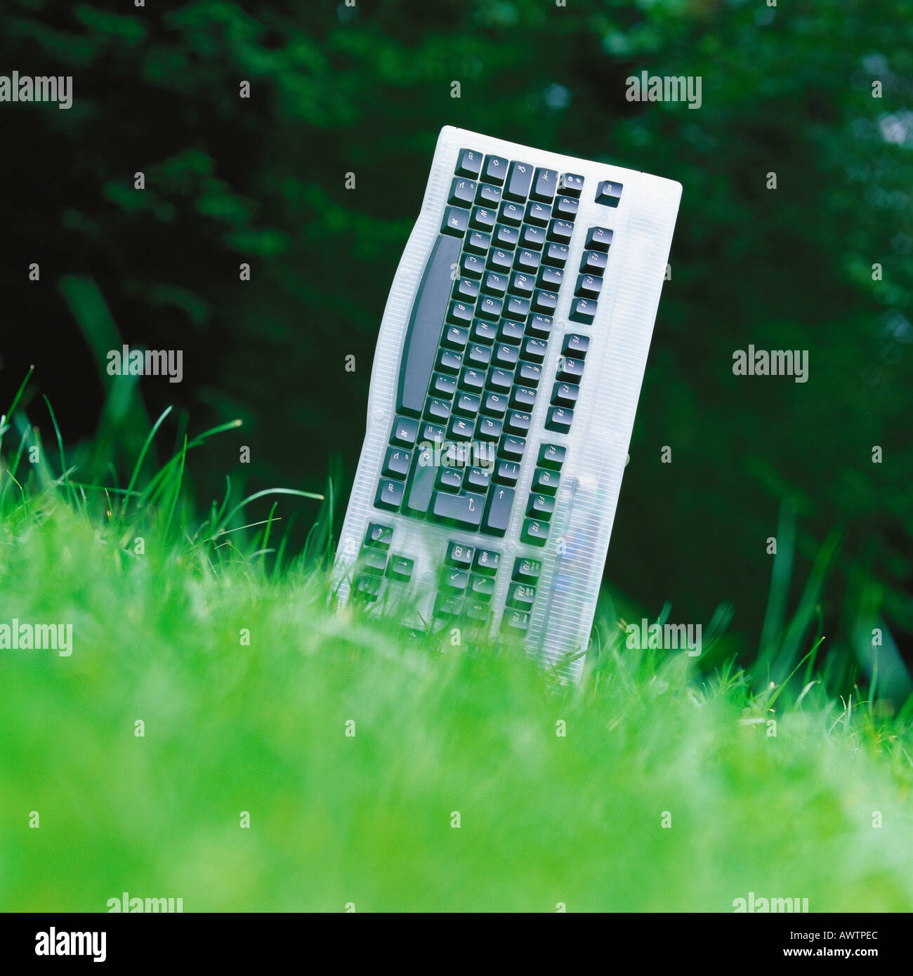 Computer keyboard standing on end in grass Stock Photo - Alamy