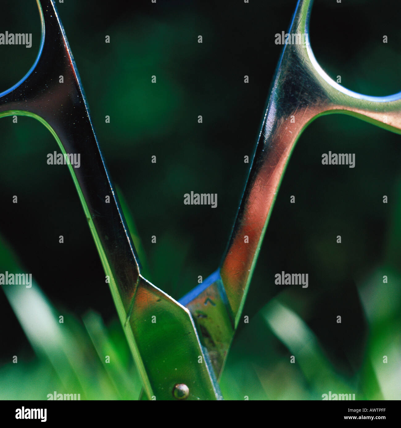 Scissors sticking in grass, close-up Stock Photo - Alamy