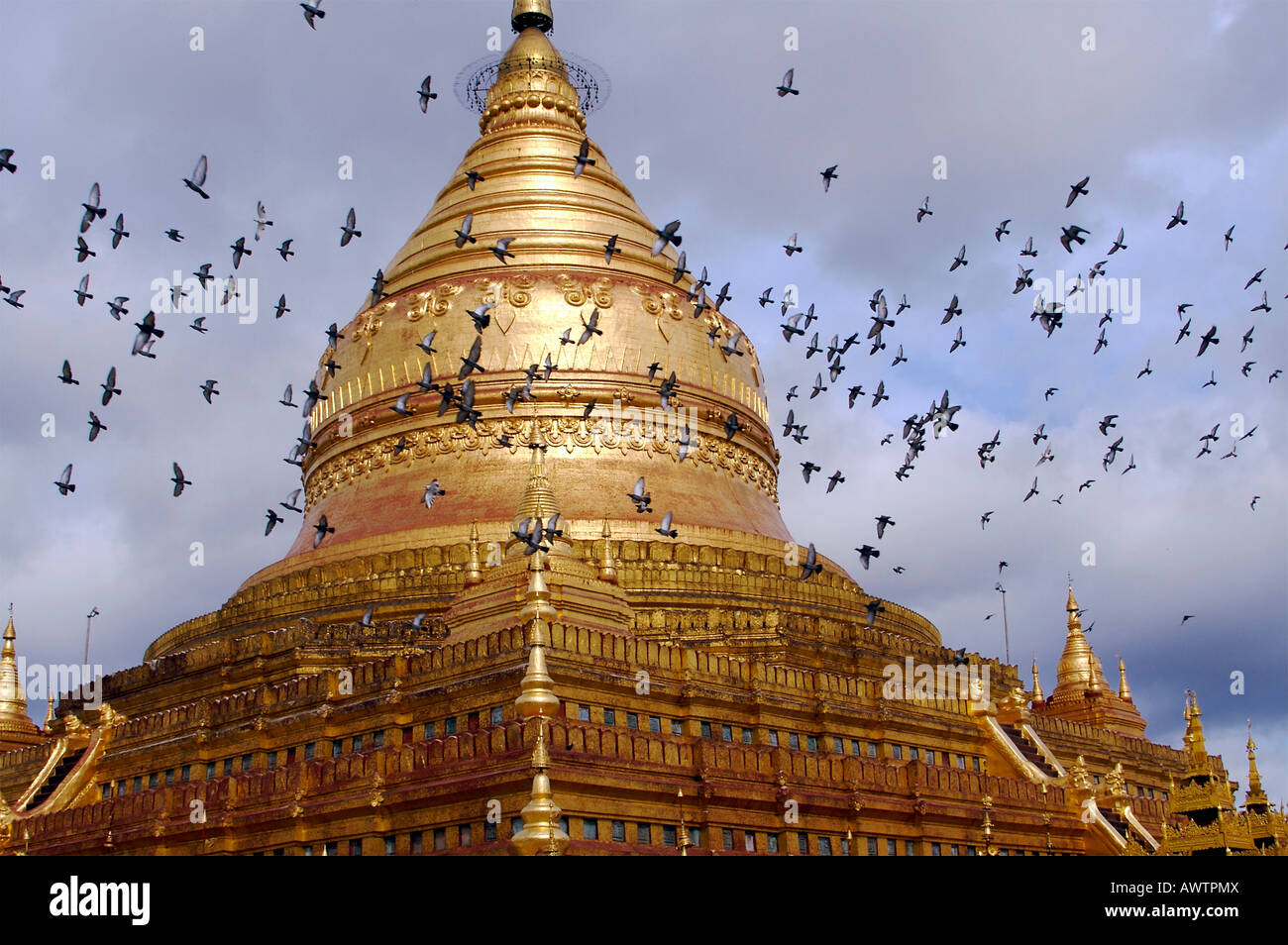 Birds at Shwezigon Pagoda Stock Photo - Alamy