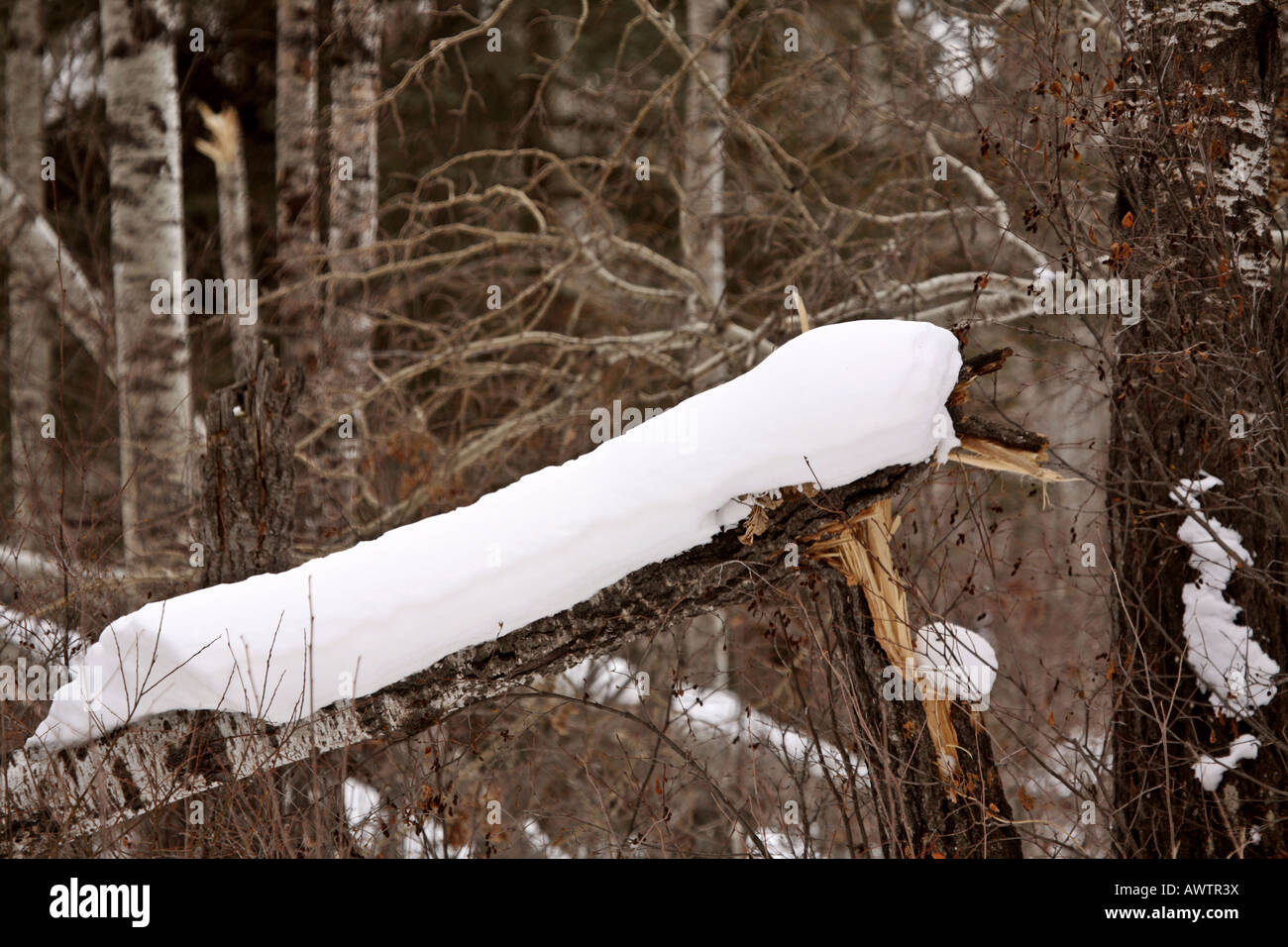Snow pack hi-res stock photography and images - Alamy