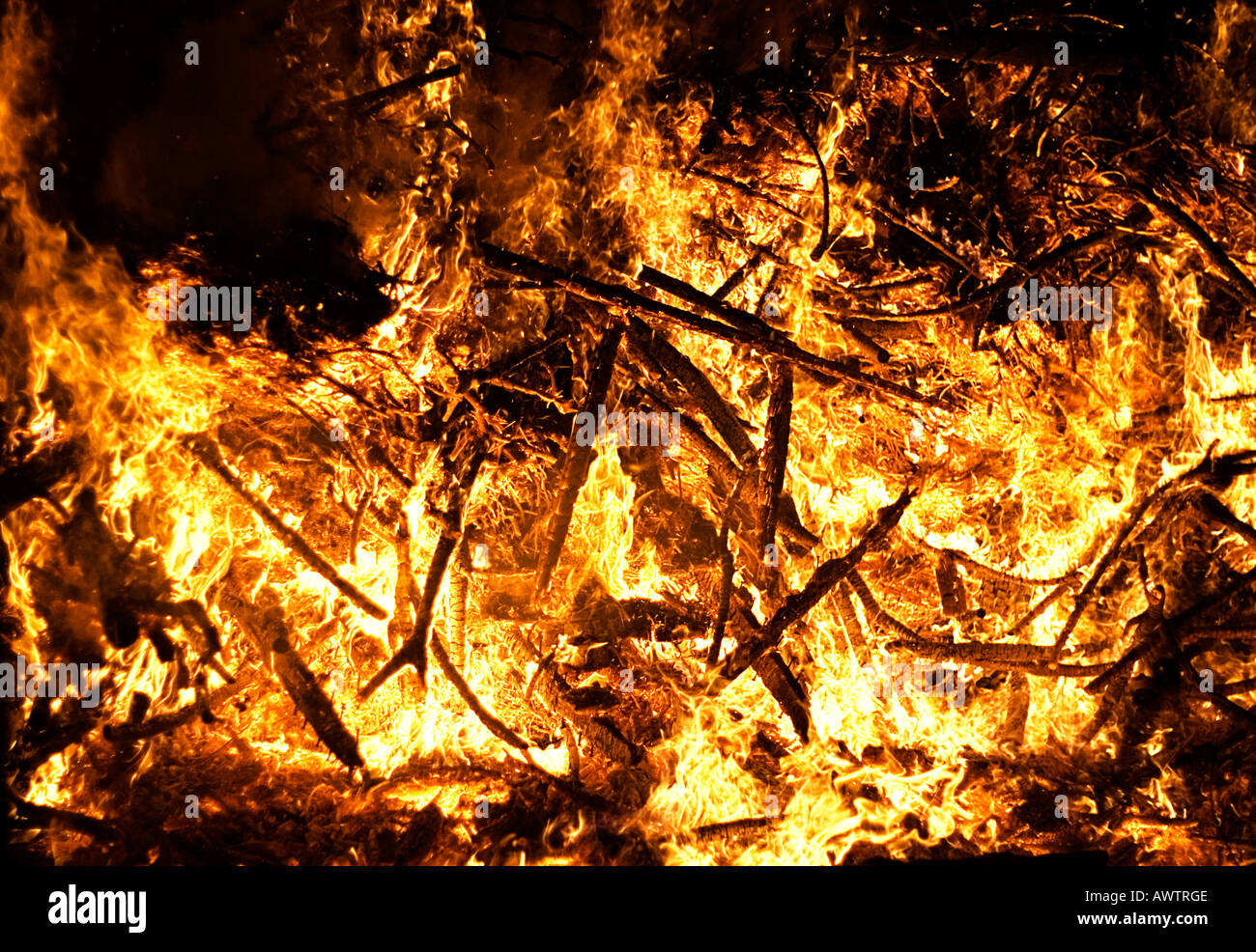 Forest Fire (Close View Stock Photo - Alamy
