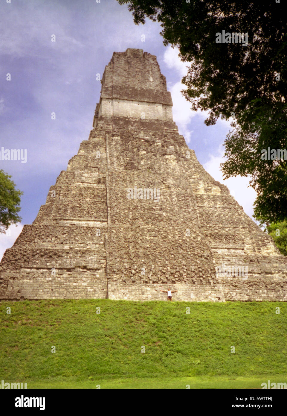 Panoramic view imposing Maya stone pyramid man standing Tikal Guatemala ...